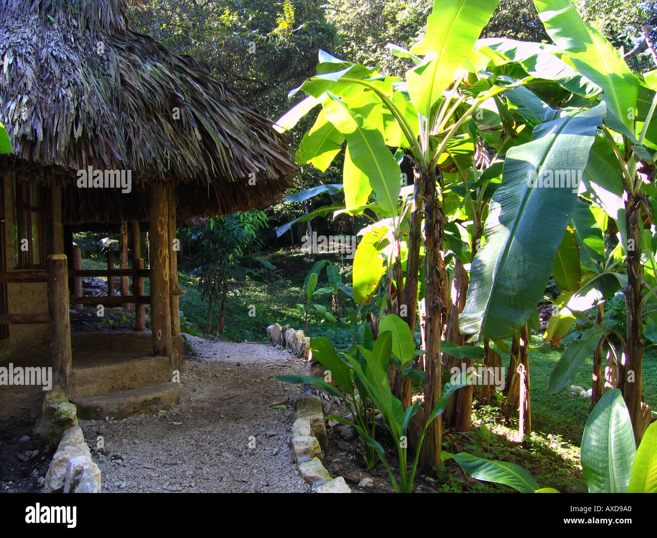bungalow at mayabell resort palenque chiapas mexico Stock Photo - Alamy