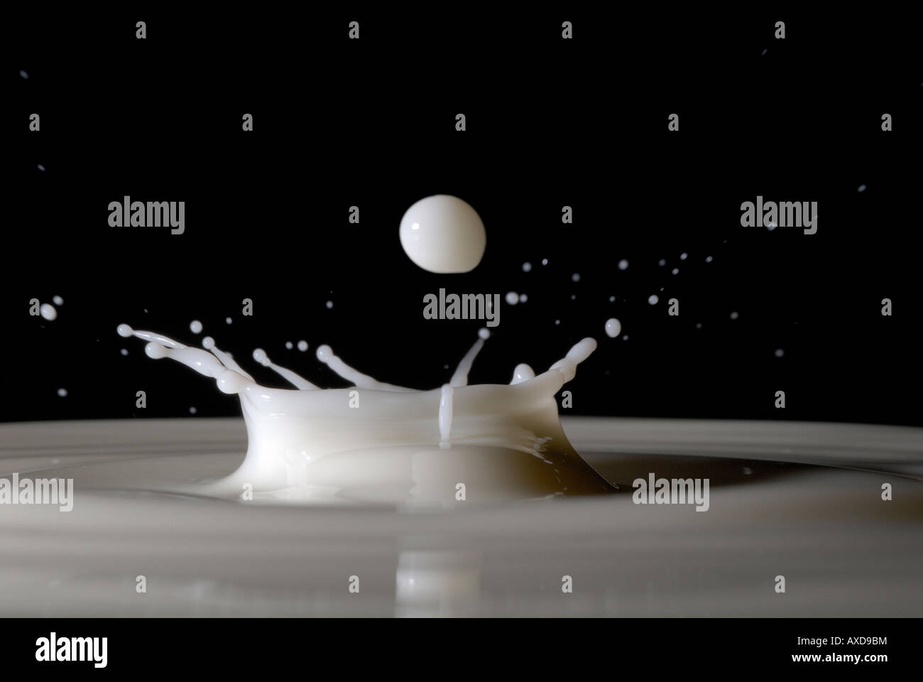 Drops of milk splashing Stock Photo - Alamy