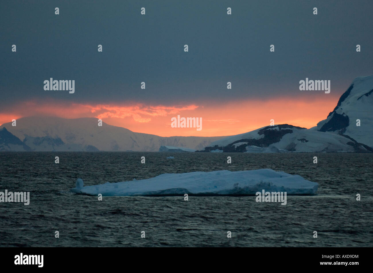 Antarctica Antarctic Peninsula Gerlache strait Stock Photo - Alamy