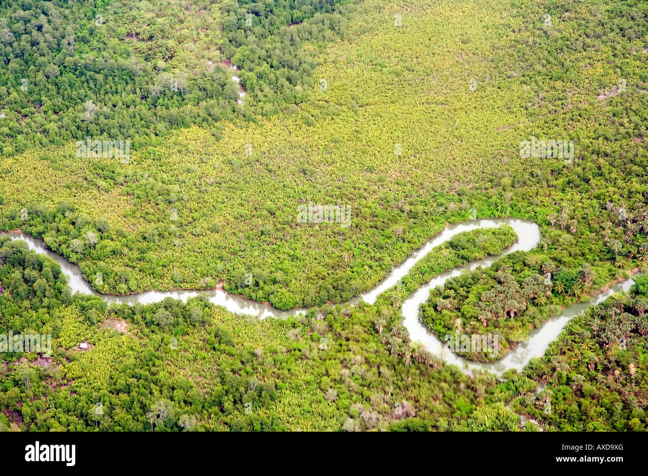 Aerial photograph of a disturbed forest in Coron, Busuanga, Palawan ...