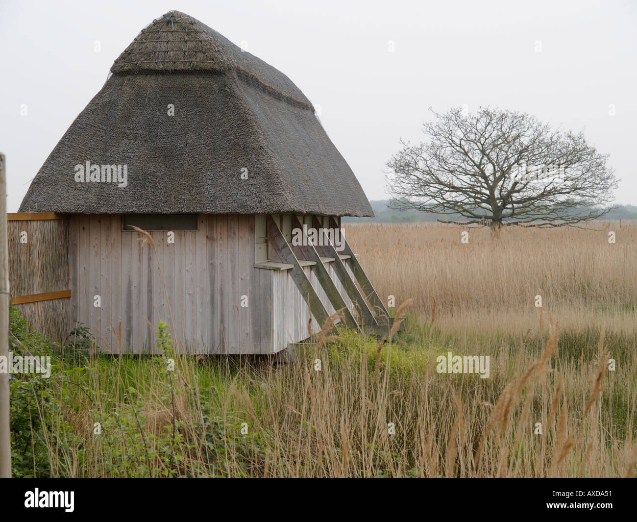 NORFOLK WILDLIFE TRUST HICKLING BROAD NATURE RESERVE EXTERIOR OF ...