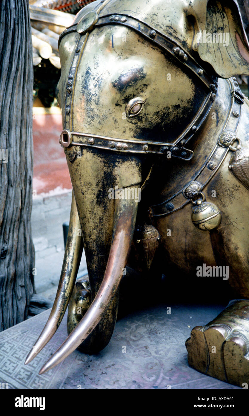 Elephan tourist hi-res stock photography and images - Alamy