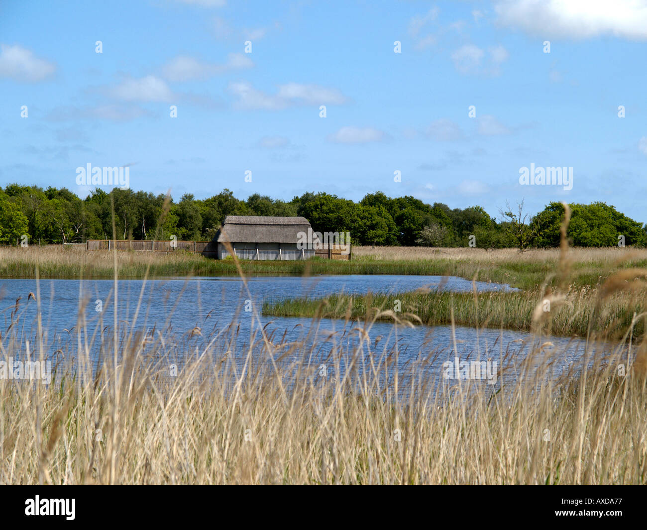 NORFOLK WILDLIFE TRUST HICKLING BROAD NATURE RESERVE EXTERIOR OF ...