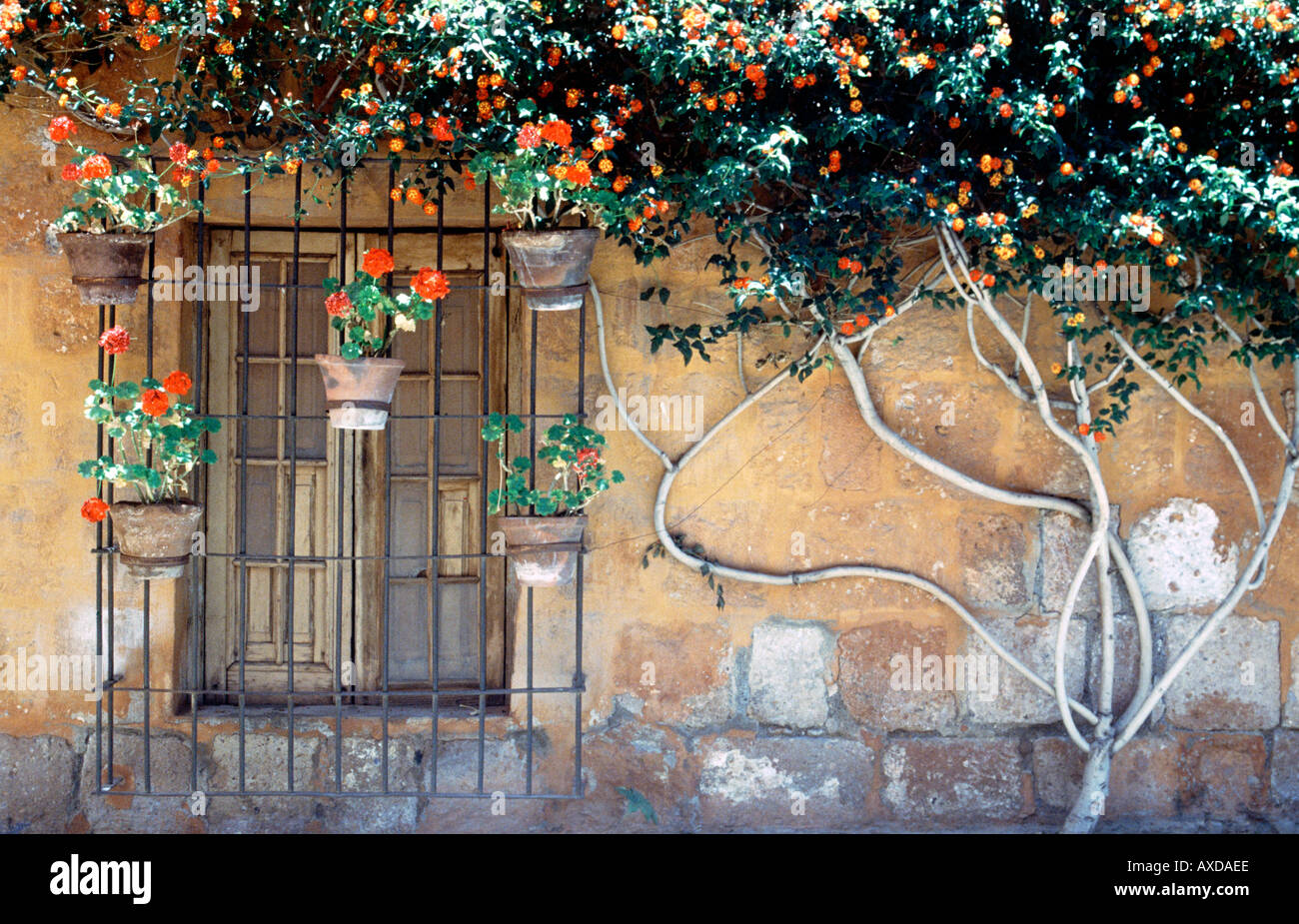 Convent nunnery High Resolution Stock Photography and Images - Alamy