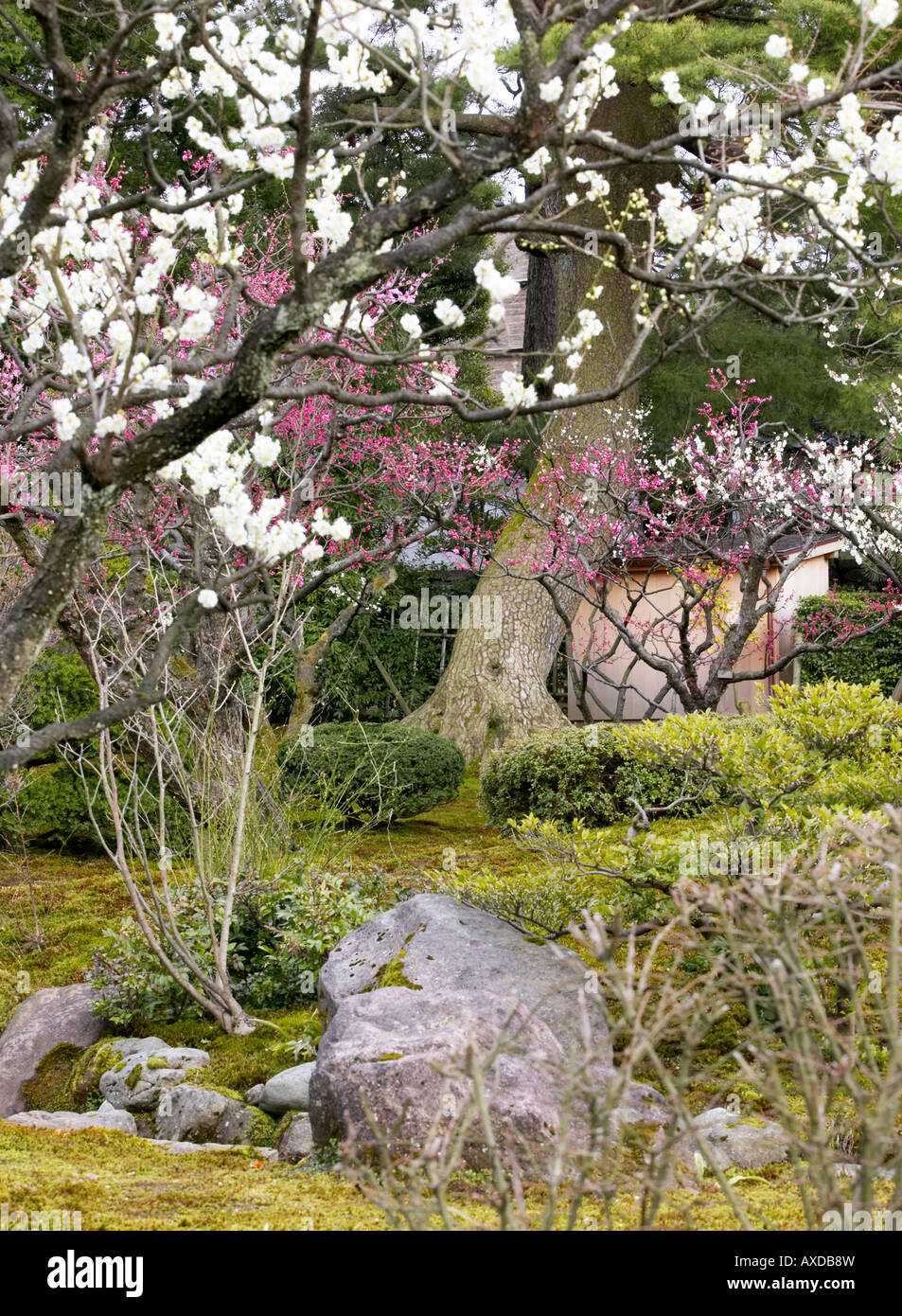 SPRING AT KENROKUEN GARDENS, KANAZAWA, JAPAN. WIDELY CONSIDERED ONE OF ...