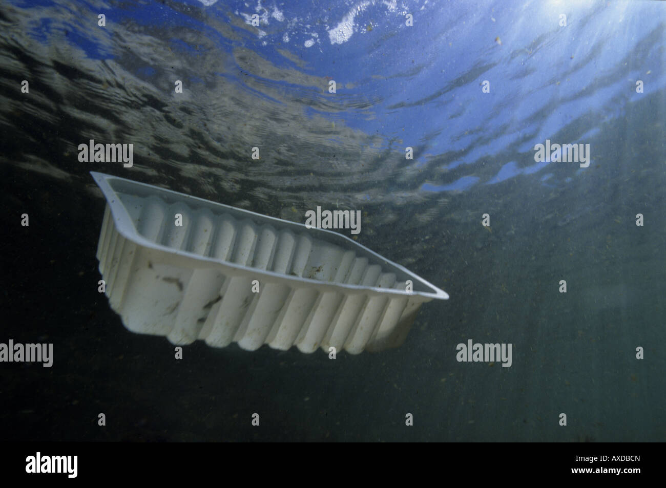 Plastic container floating underwater, Marseille, France Stock Photo ...