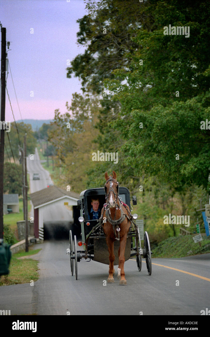 Amish driving buggy hi-res stock photography and images - Alamy