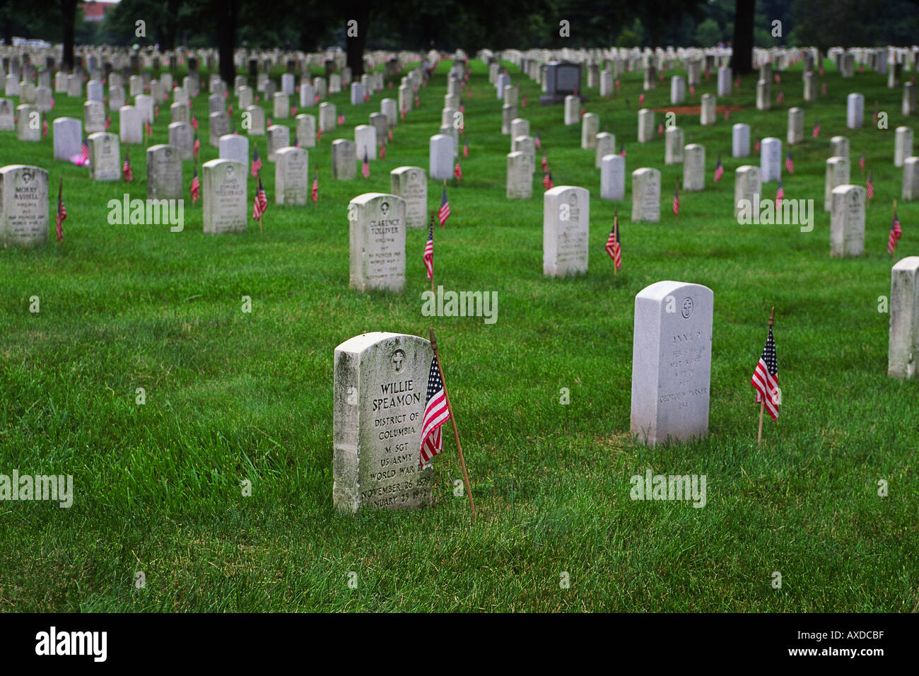 Headstones and USA flags at Arlington National Cemetery on Memorial Day ...