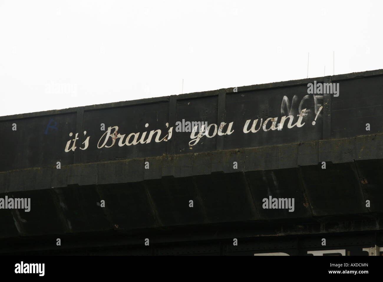 Brains beer sign hi-res stock photography and images - Alamy