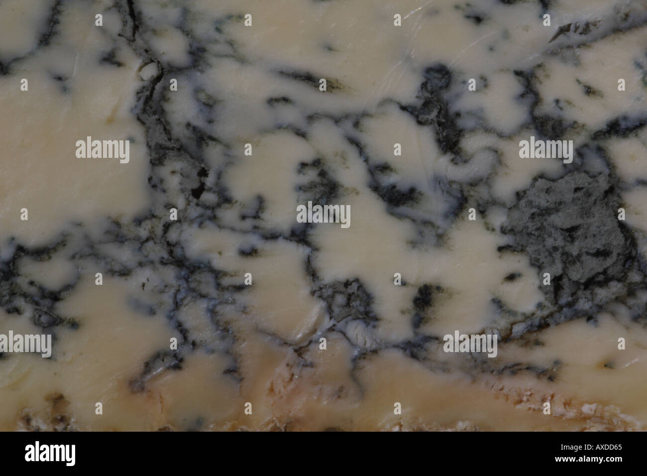 Stilton cheese rind hi-res stock photography and images - Alamy