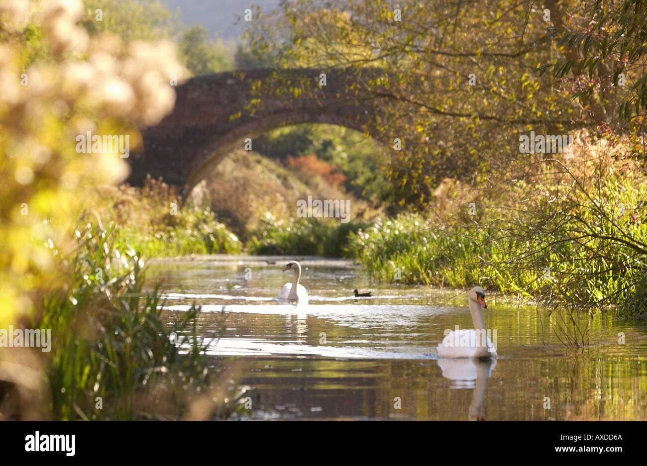 HERITAGE SURVEY BY BRITISH WATERWAYS IDENTIFIES STRUCTURES OF ...