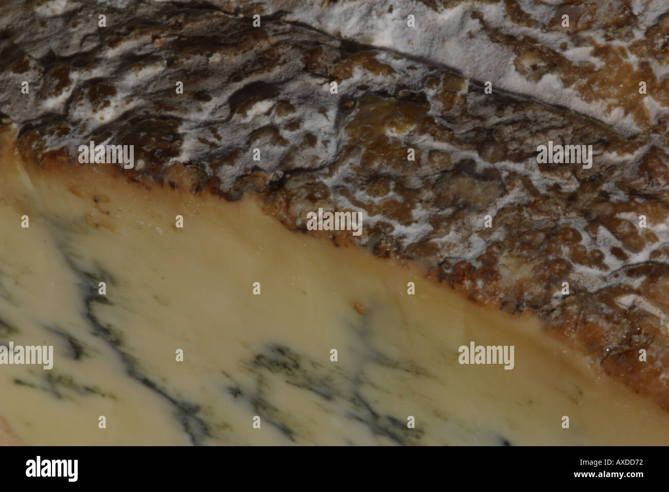Stilton cheese rind hi-res stock photography and images - Alamy