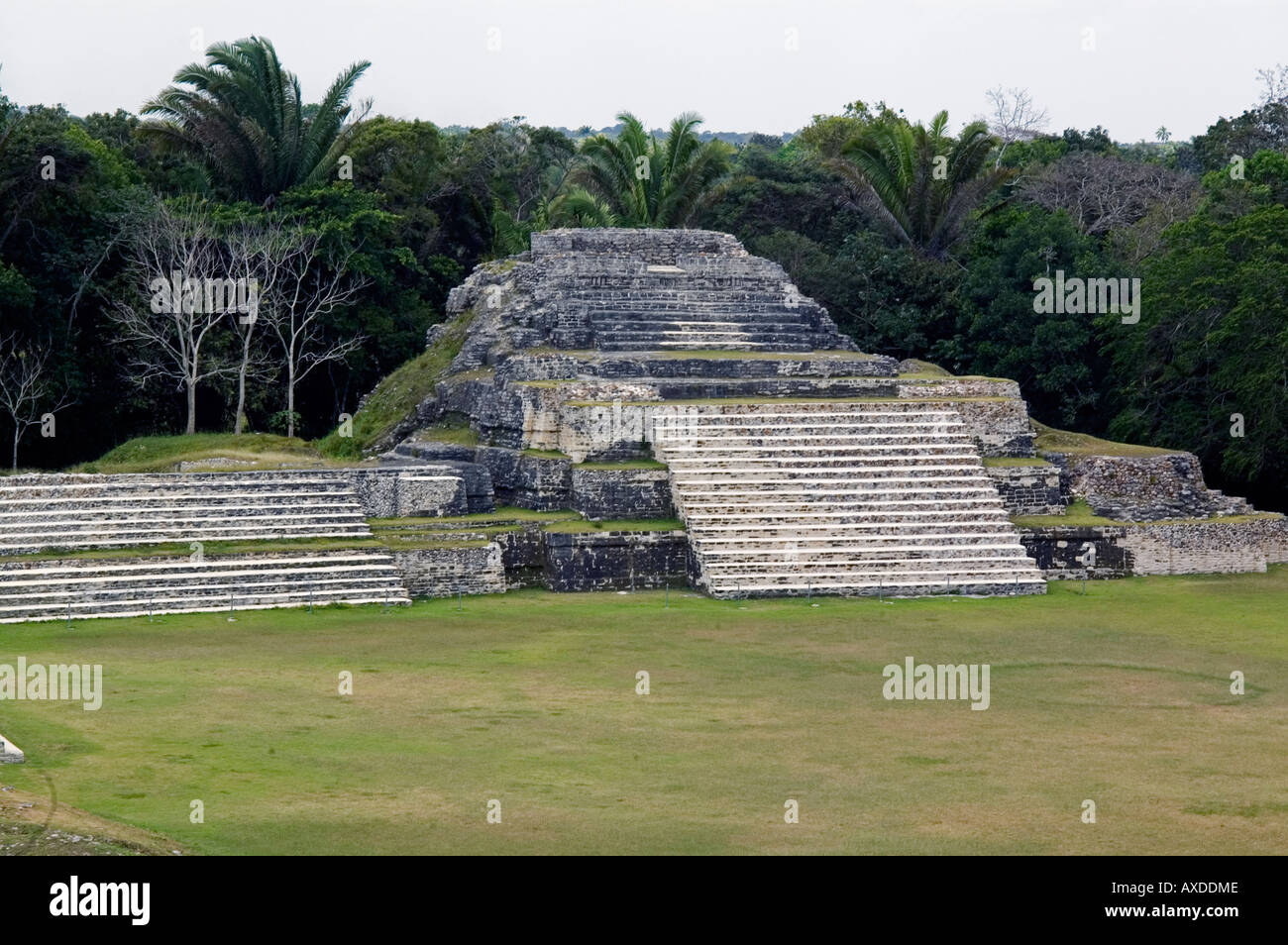 Pyramid with greenery background, Maya ruin Altun Ha, Belize Stock ...