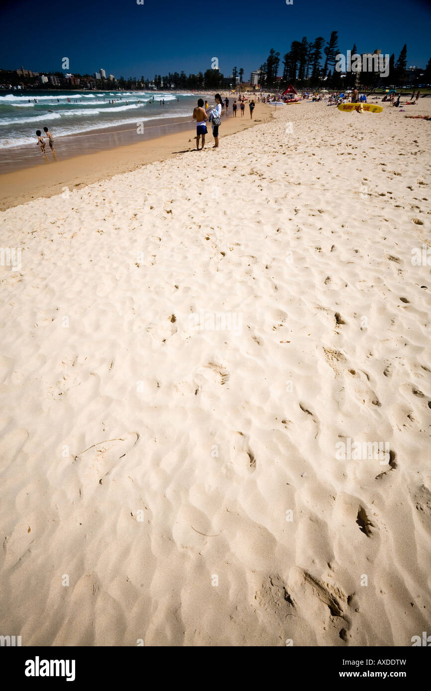 North Steyne park Manly beach Stock Photo - Alamy