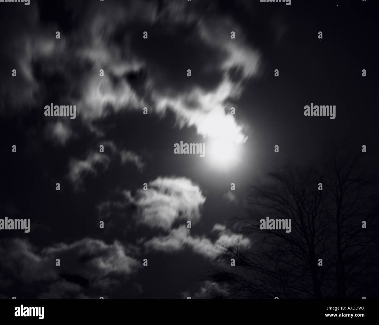 Light Shining Out Of Darkness