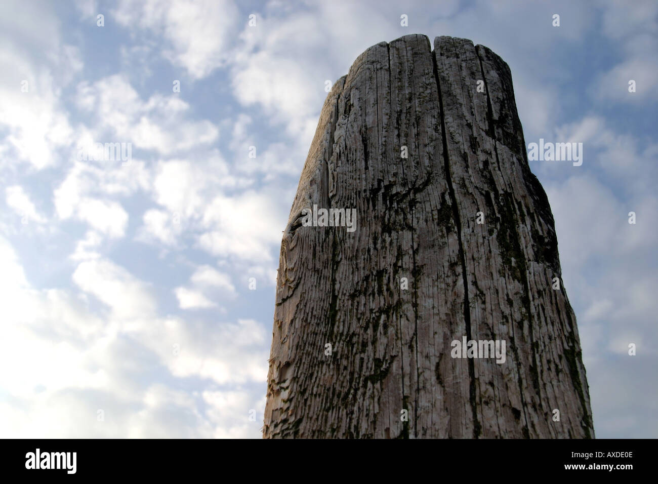 A large wooden pillar stands proudly with strong grain in its wood set ...