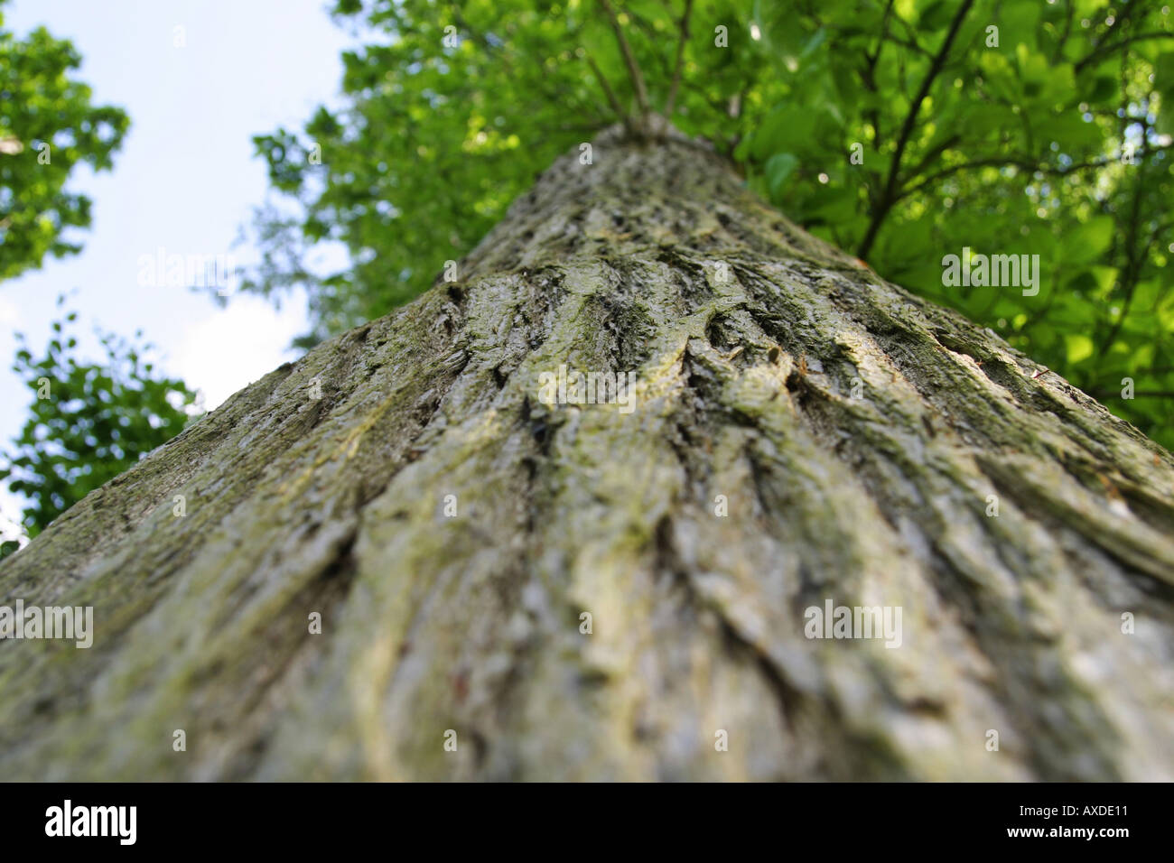 Vertically below hi-res stock photography and images - Alamy