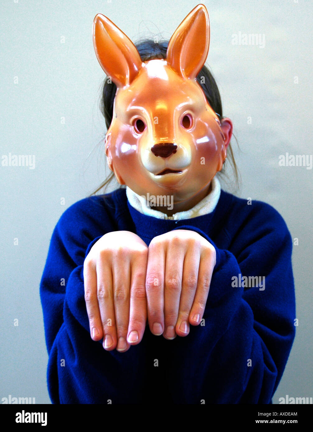 Rabbit face pupil Stock Photo - Alamy