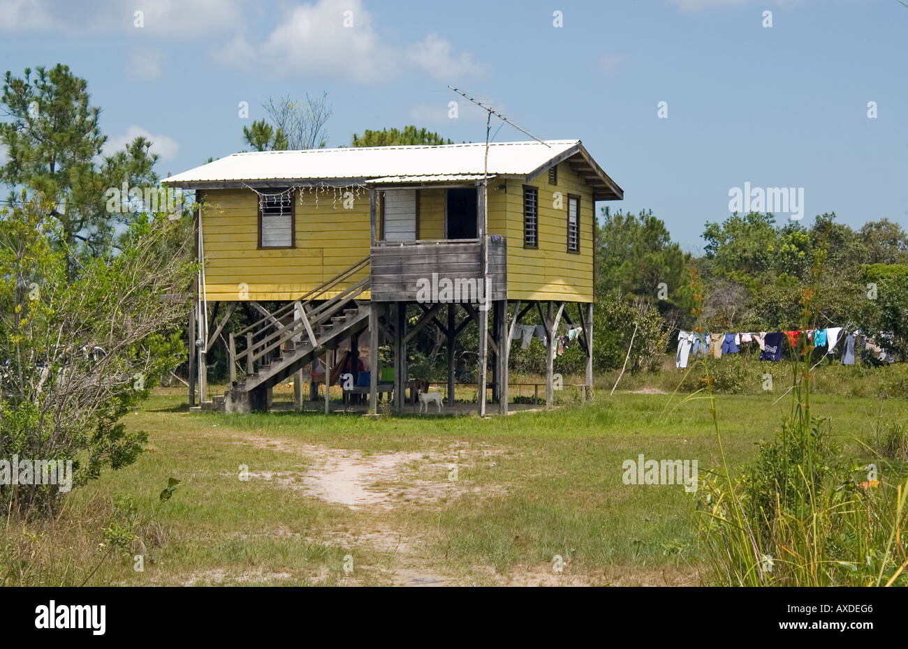 Typical Belize house with poling against the flood, Western Caribbean ...