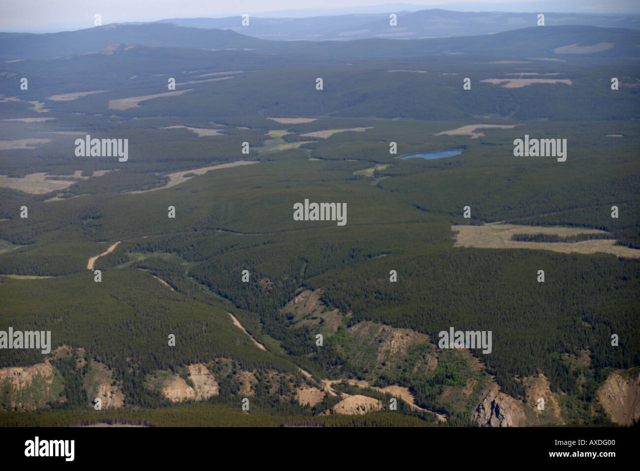 Aerial view of the forests of British Columbia, Canada Stock Photo - Alamy