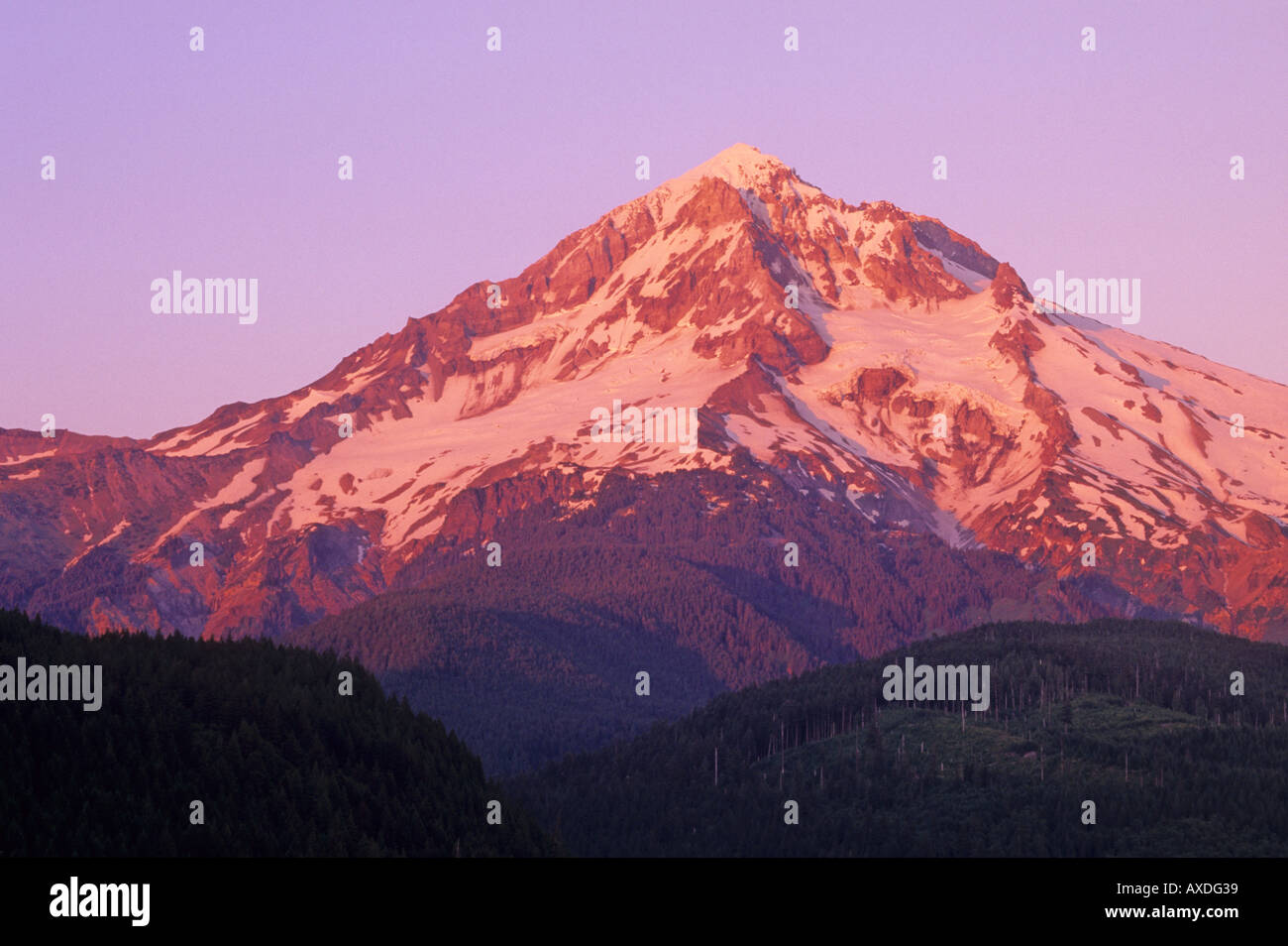 Sunset colors the western face of Mount Hood in Mount Hood National ...
