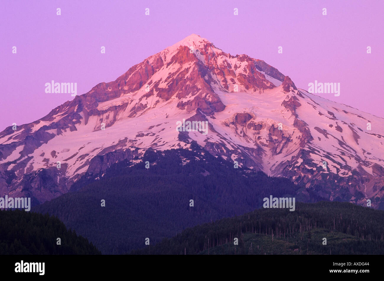 Sunset colors the western face of Mount Hood in Mount Hood National ...