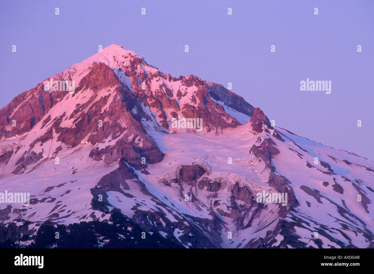 Sunset colors the western face of Mount Hood in Mount Hood National ...