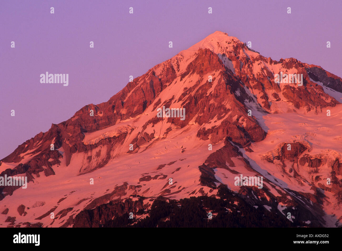 Sunset colors the western face of Mount Hood in Mount Hood National ...