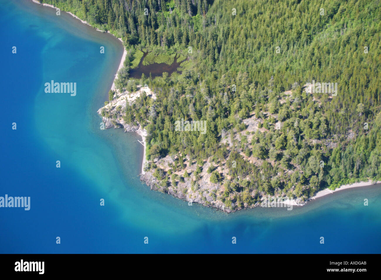Aerial view of the forests surrounding a vivid blue lake in British ...