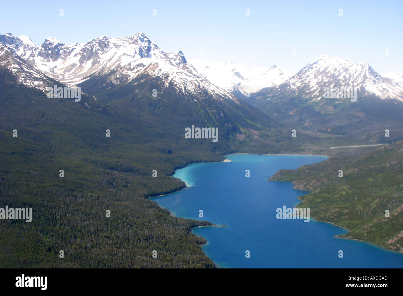 Aerial view of the forests surrounding a vivid blue lake in British ...