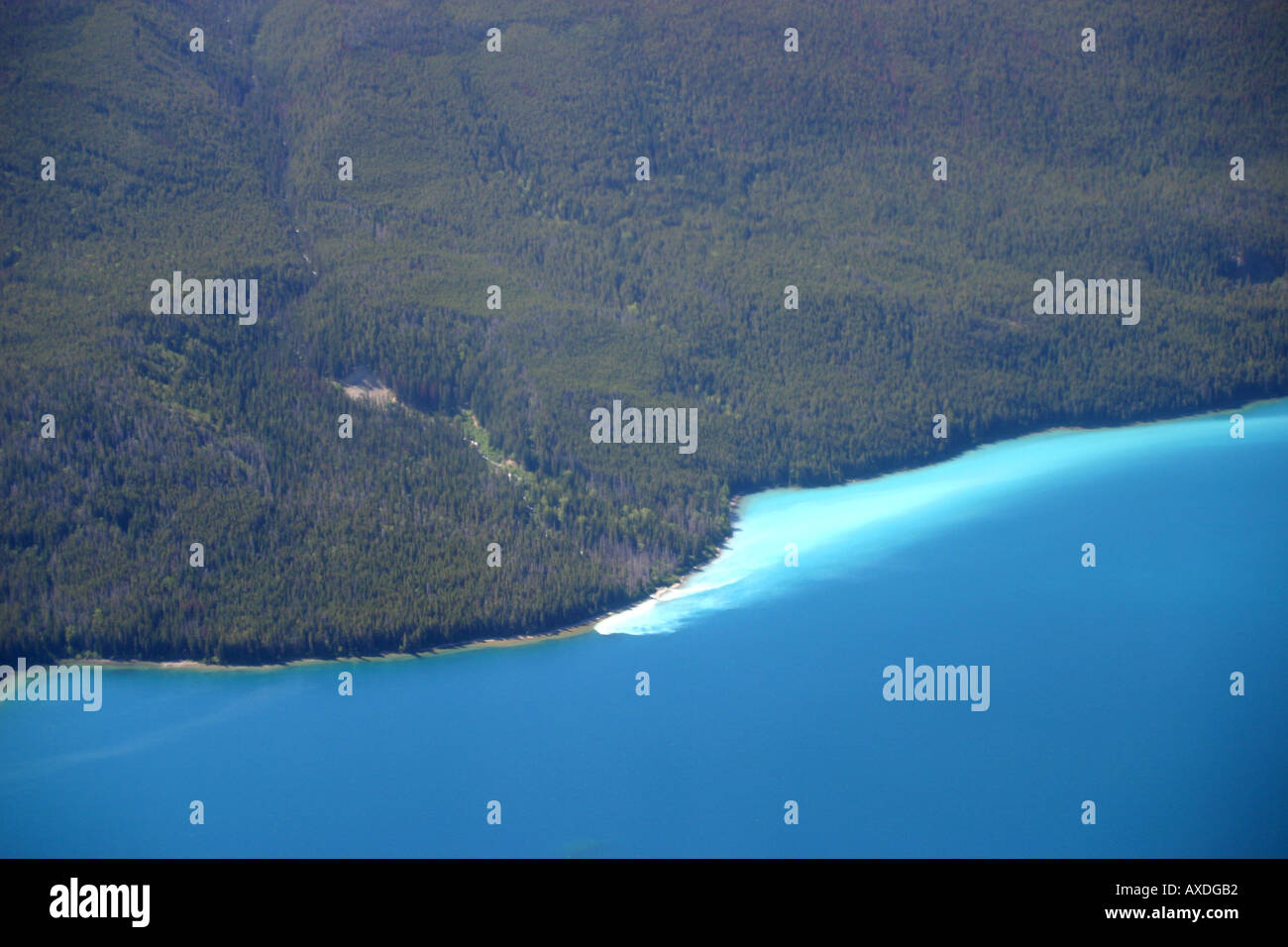 Aerial view of the forests surrounding a vivid blue lake in British ...