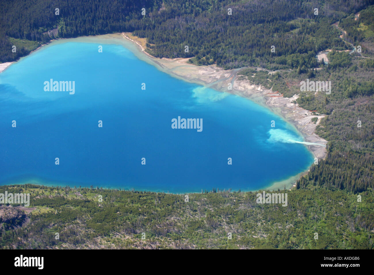 Aerial view of the forests surrounding a vivid blue lake in British ...