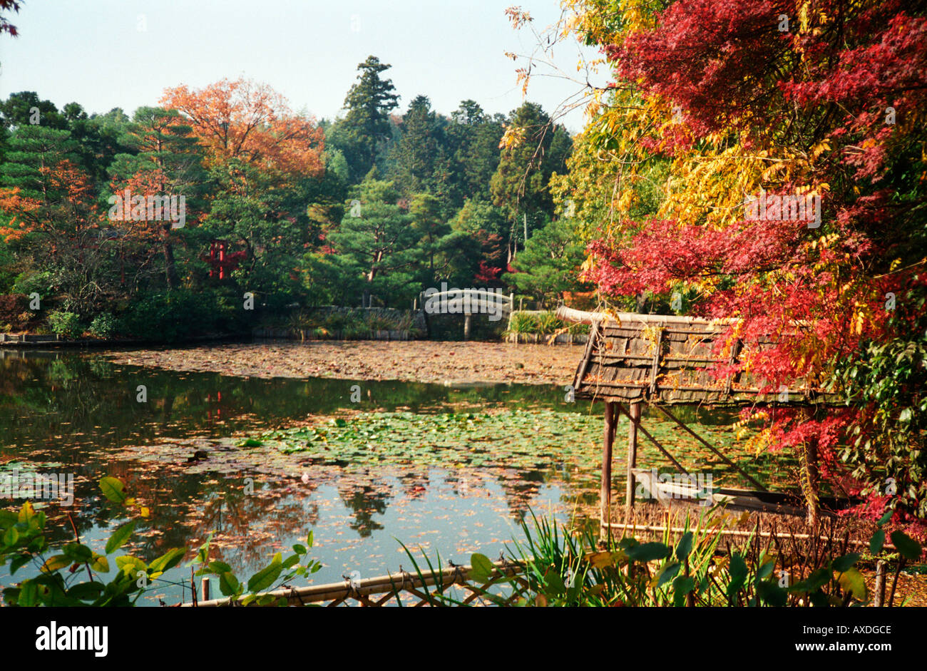 Traditional Japanese Pond Garden Stock Photo - Alamy