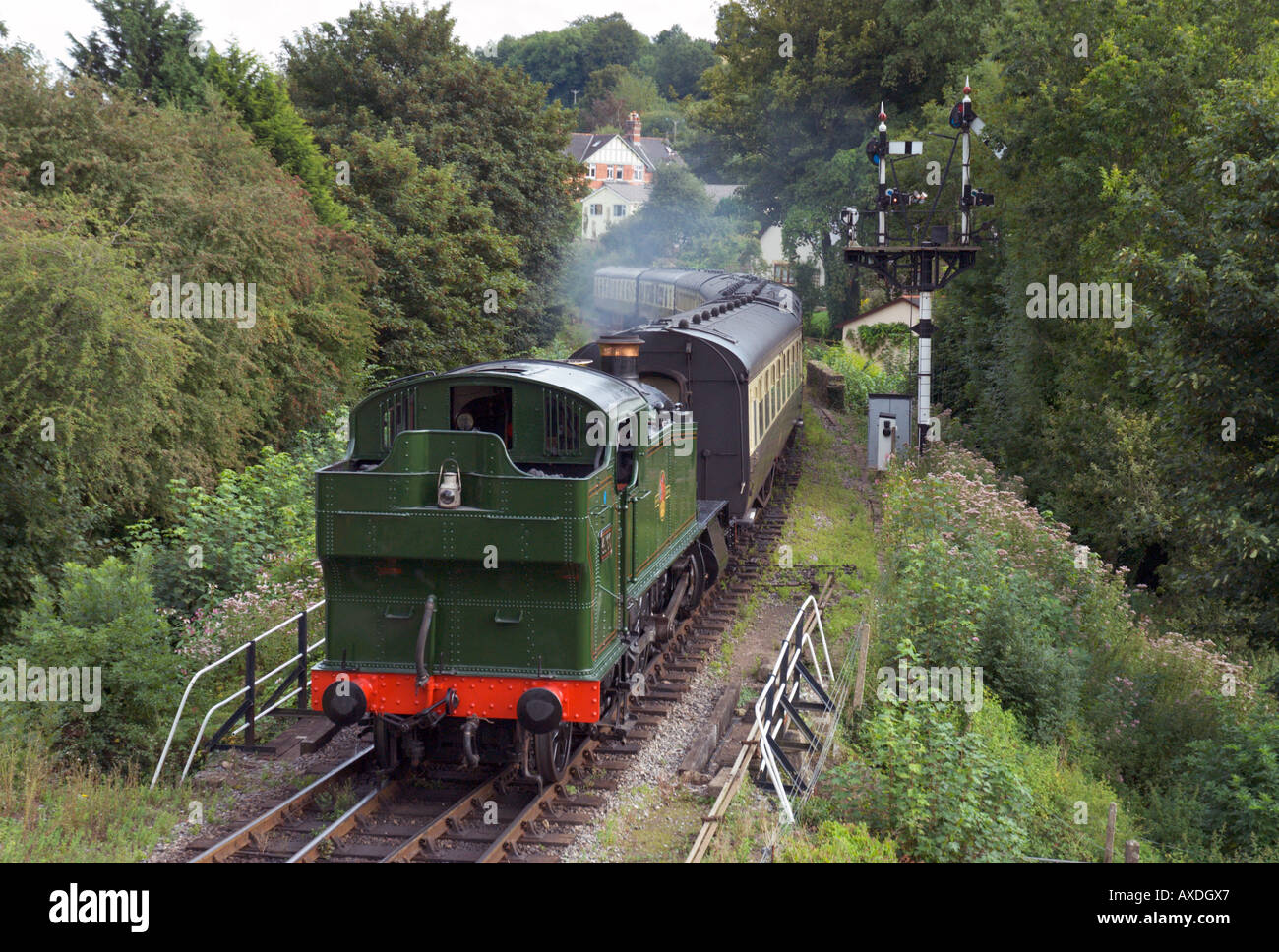 Steam train at the South Devon Railway Stock Photo - Alamy