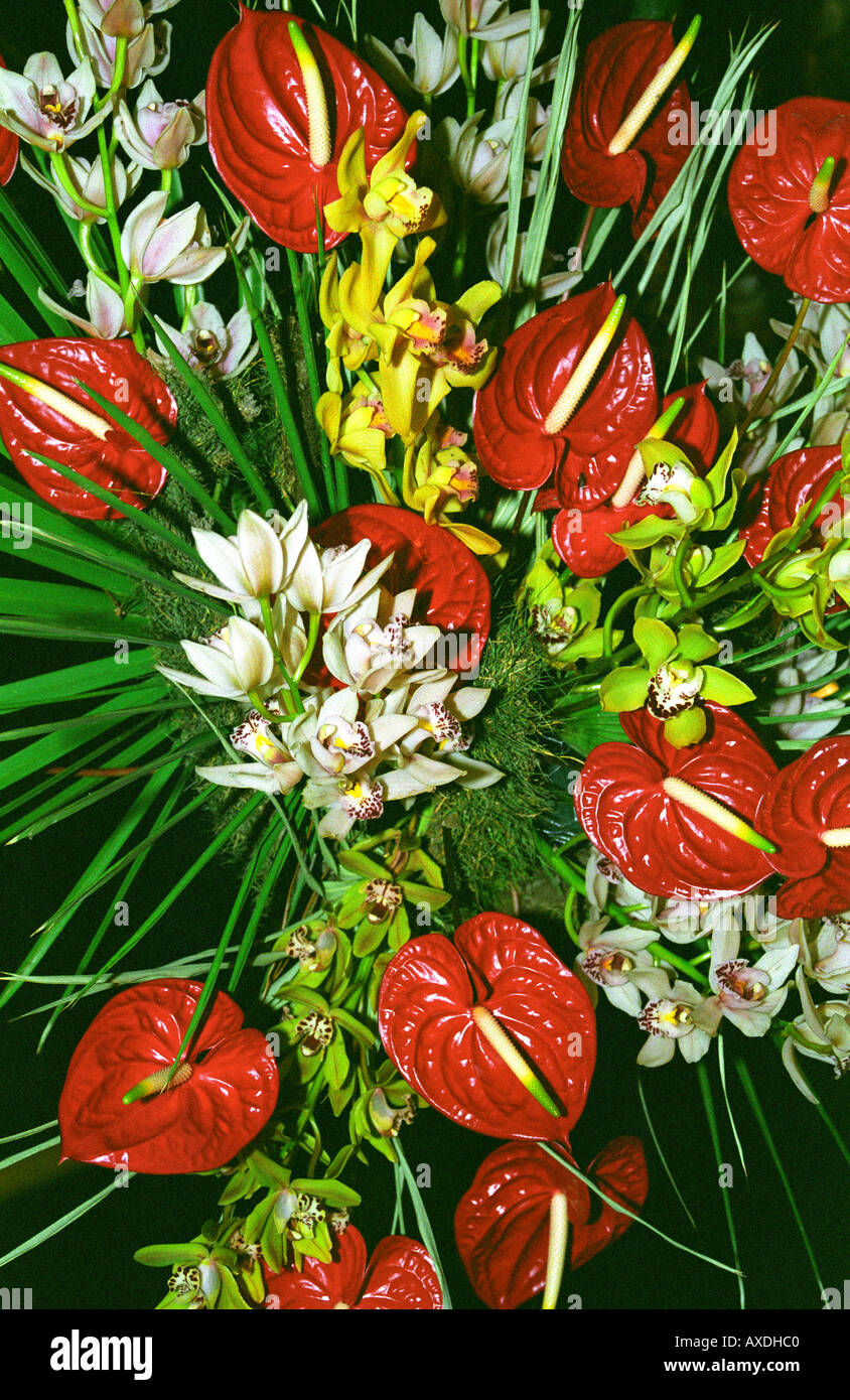 floral arangement an exhibit at Florissimo 2005 Dijon Park des ...