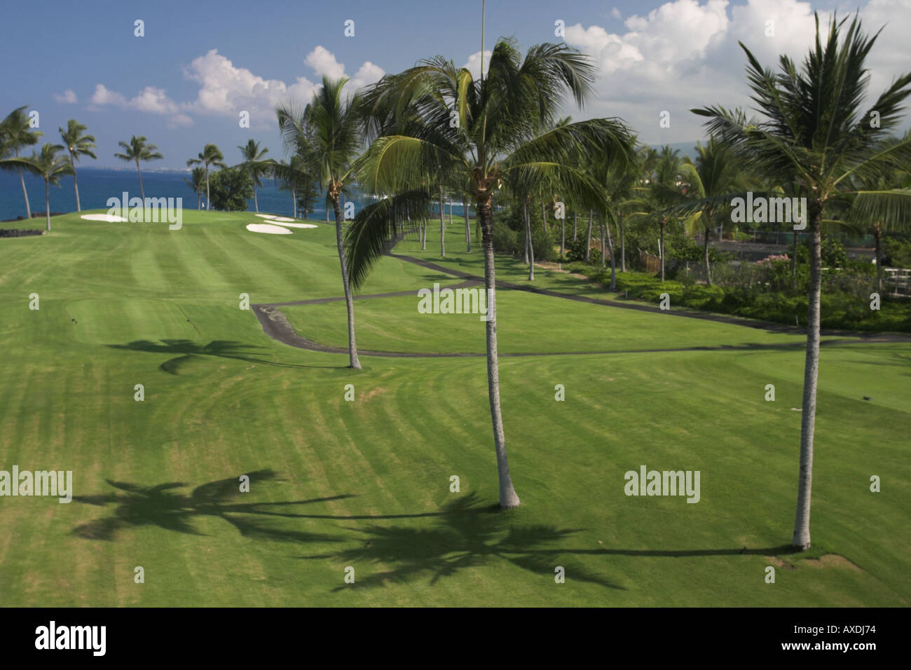 Tropical Links fill frame Stock Photo - Alamy