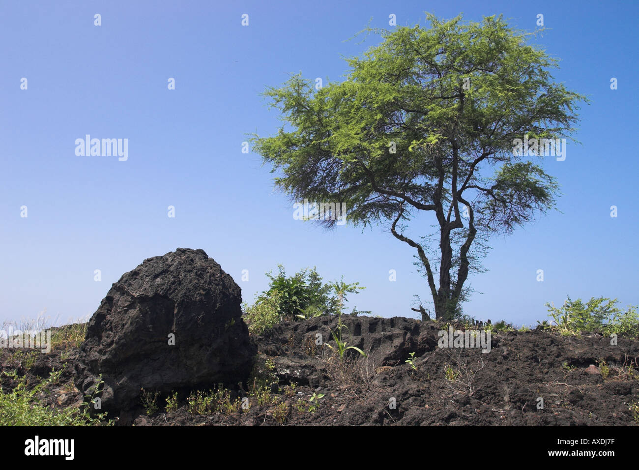 Singular rock hi-res stock photography and images - Alamy