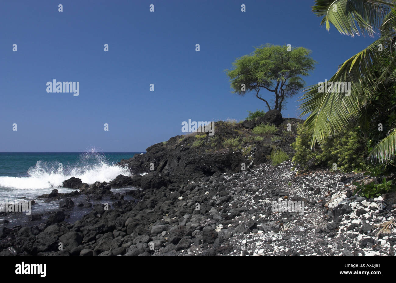 North sentinel island beach hi-res stock photography and images - Alamy