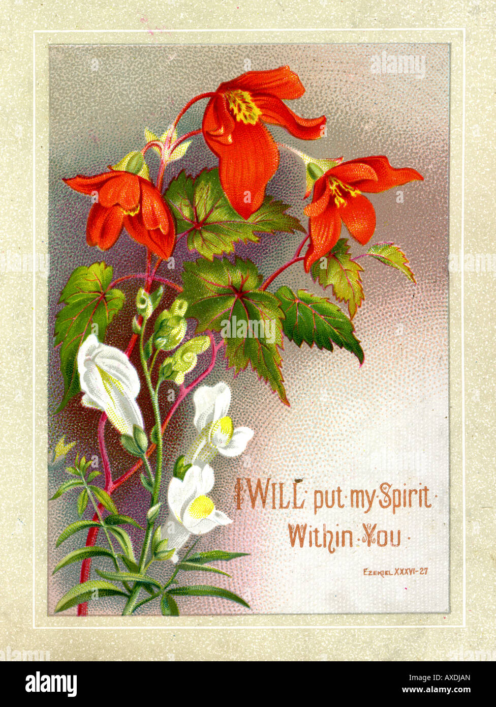 1880s Victorian Greetings Card Stock Photo - Alamy
