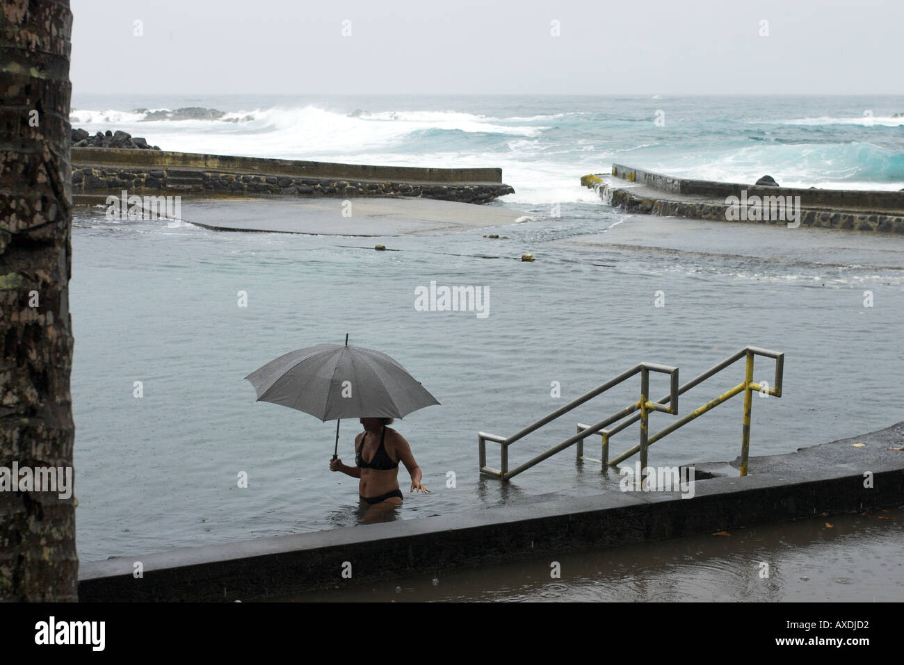 Swimming in the Rain with Umbrella Stock Photo - Alamy