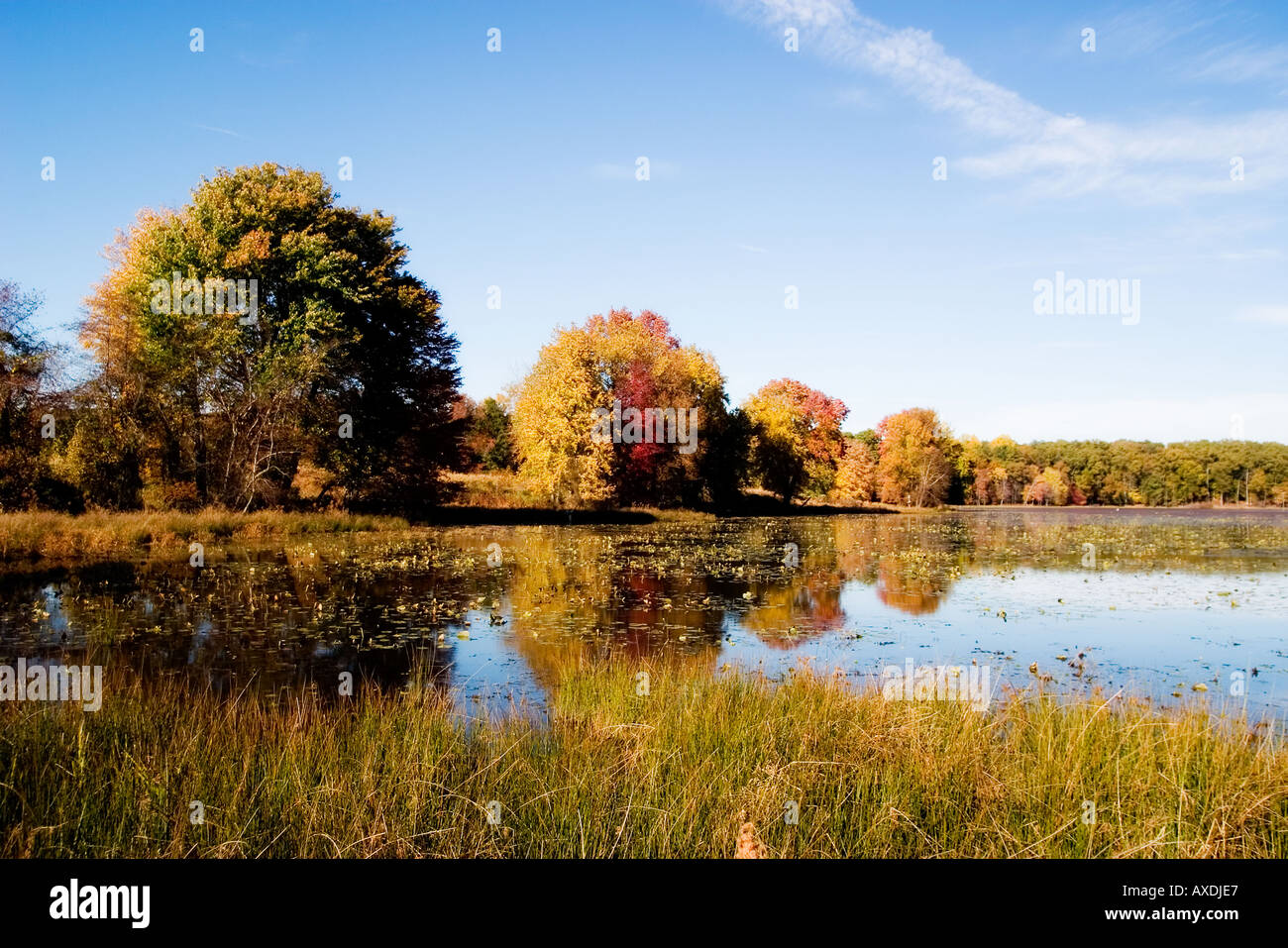 Patuxent refuge hi-res stock photography and images - Alamy