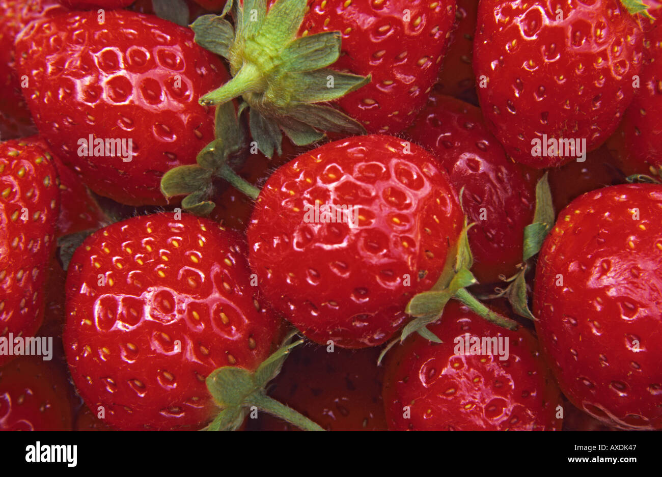 Strawberries close up Stock Photo - Alamy
