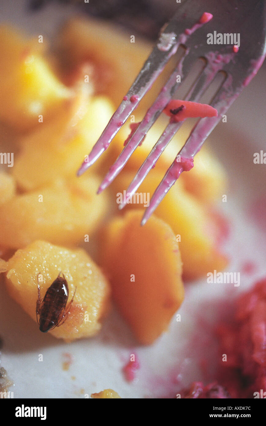 Gross disgusting yuck yucky hi-res stock photography and images - Alamy