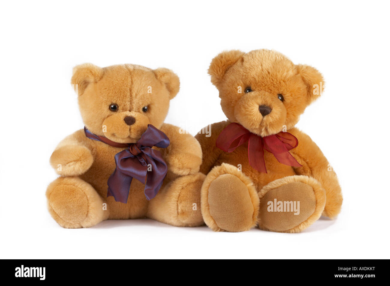 Two teddy bears sitting up Stock Photo - Alamy