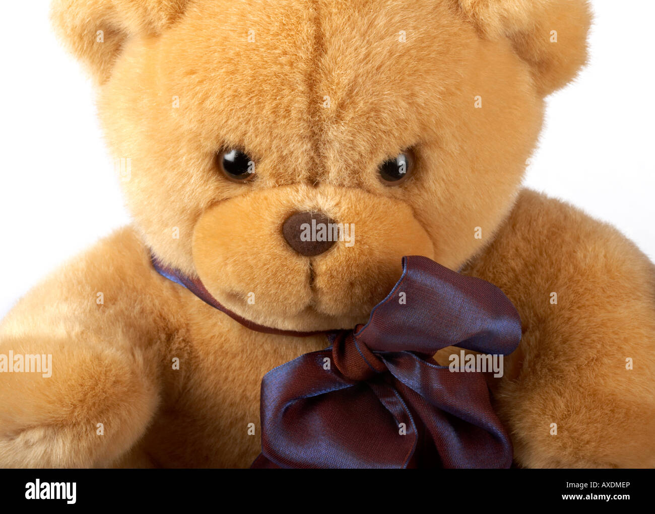 Toy bear face on hi-res stock photography and images - Alamy
