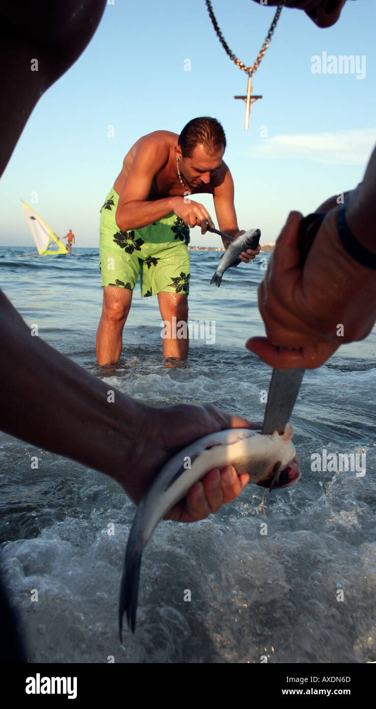 fisherman cleaning fish in the sea Stock Photo - Alamy