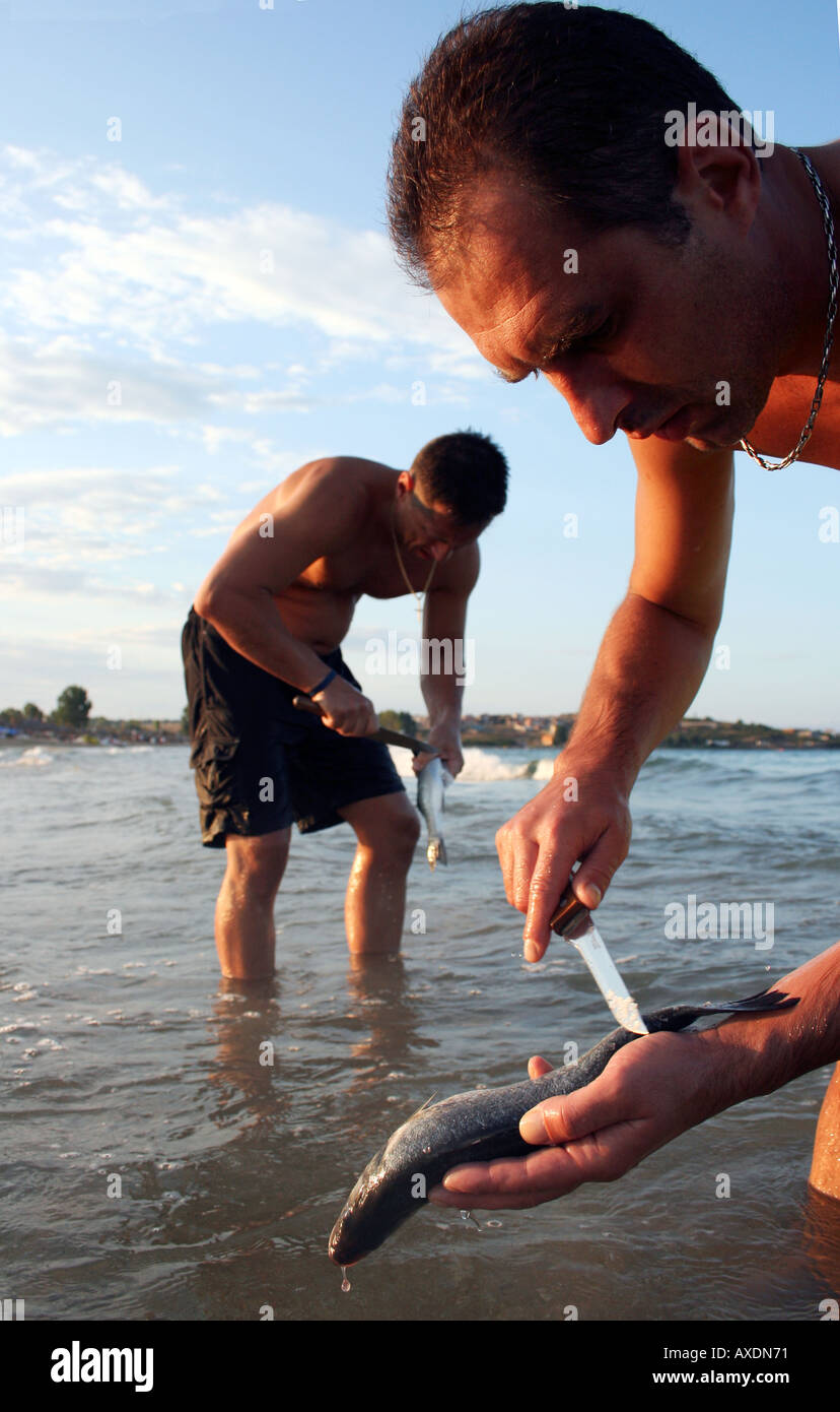 fisherman cleaning fish in the ocean Stock Photo - Alamy