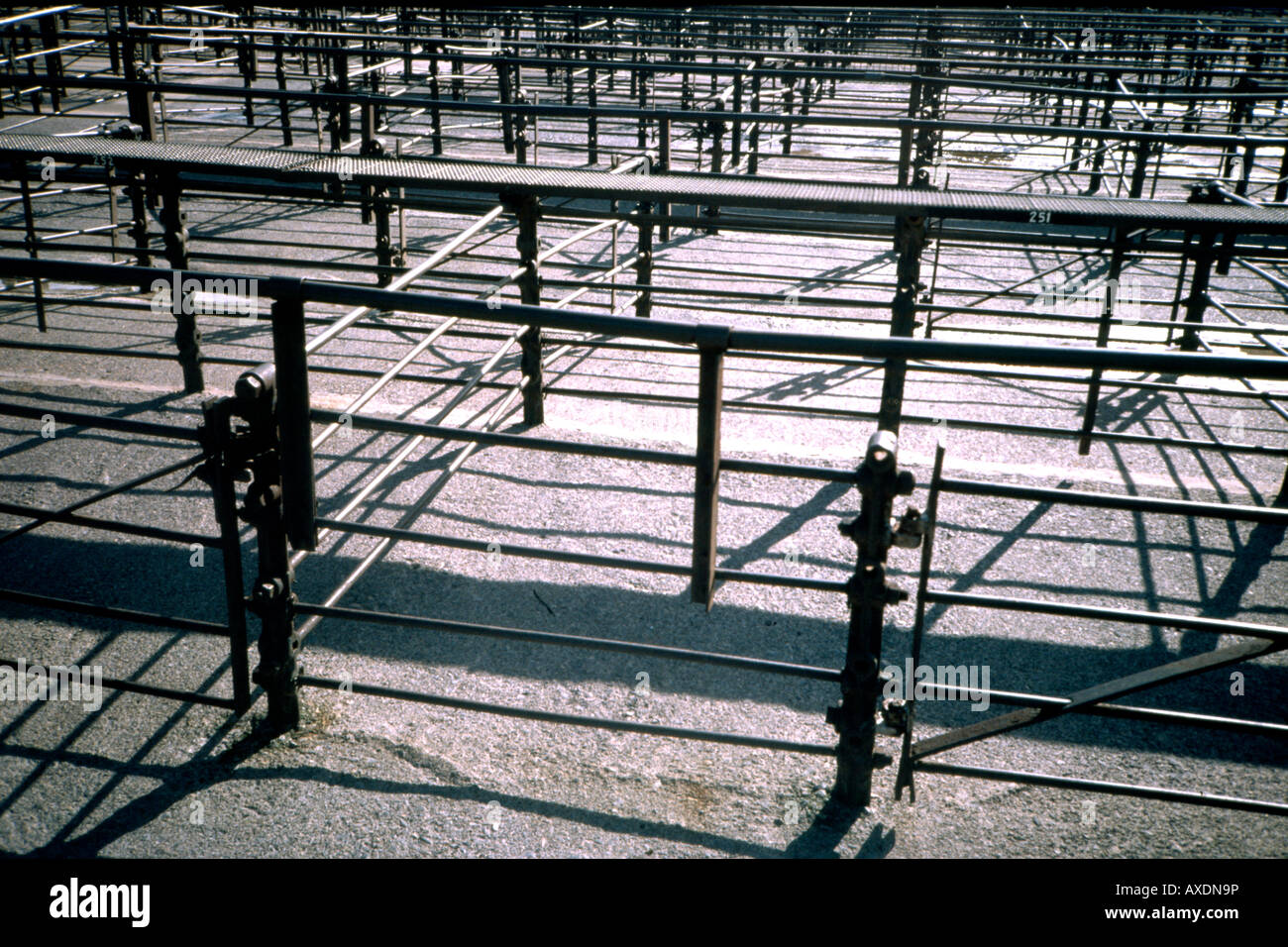 Empty cattle pens hi-res stock photography and images - Alamy