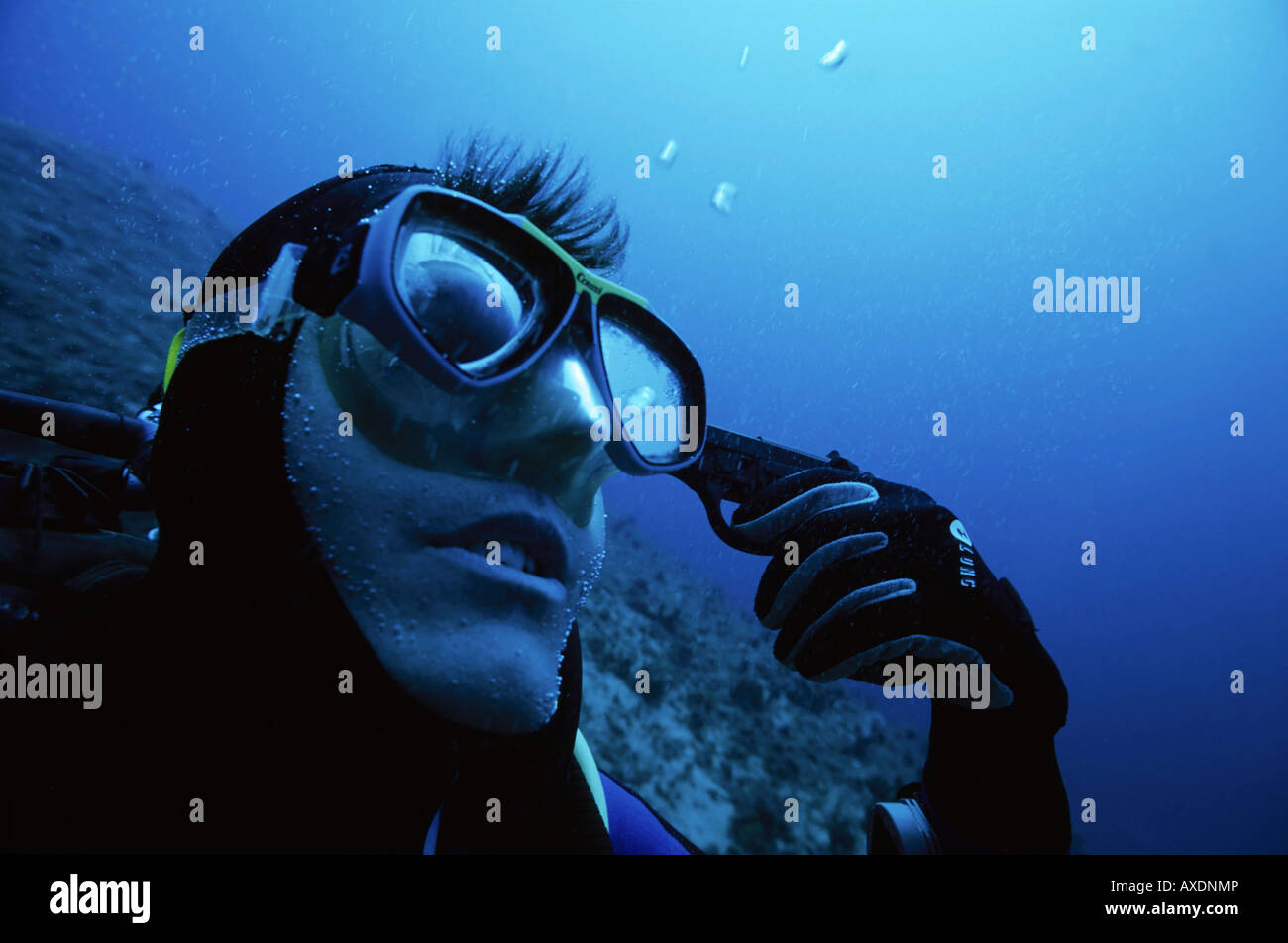 One scuba diver holding a gun to his head underwater Stock Photo - Alamy