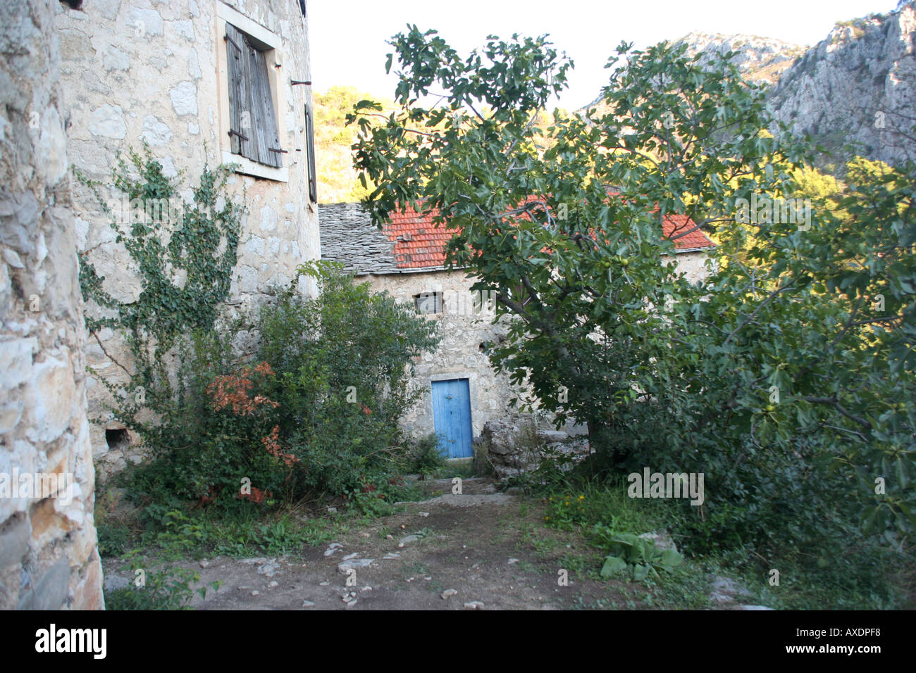 Deserted village of Malo Grablje on Hvar Island Croatia Stock Photo - Alamy